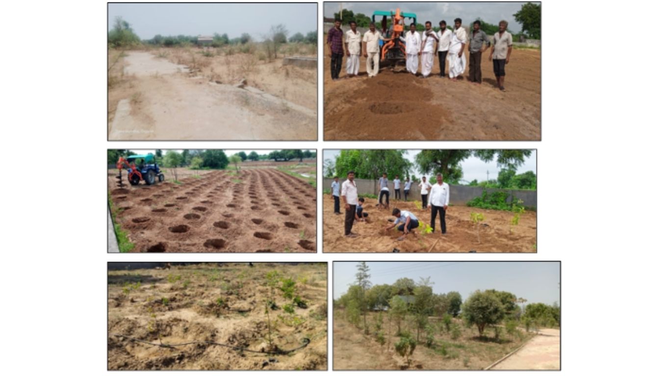 Tree Plantation Program with VSSM in 2022 - Joy of Helping